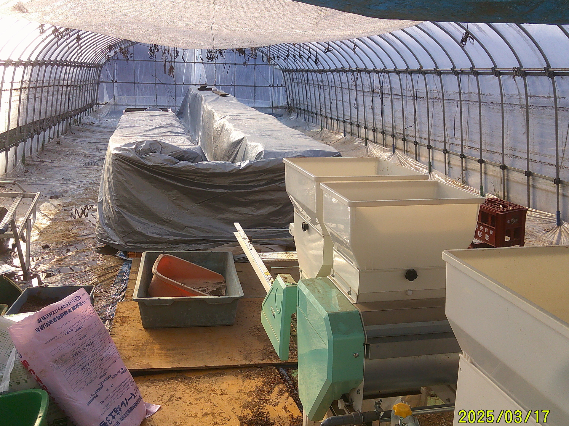 稲の種まき完了: 小さい田んぼⅡ