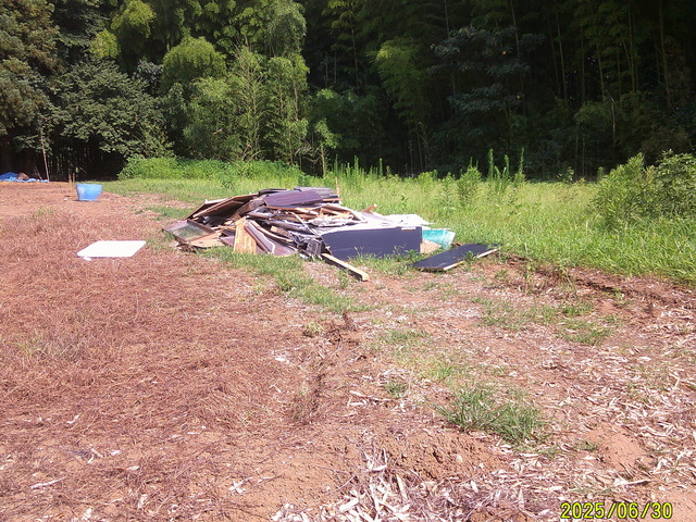 7月前半は忙しい: 小さい田んぼⅡ